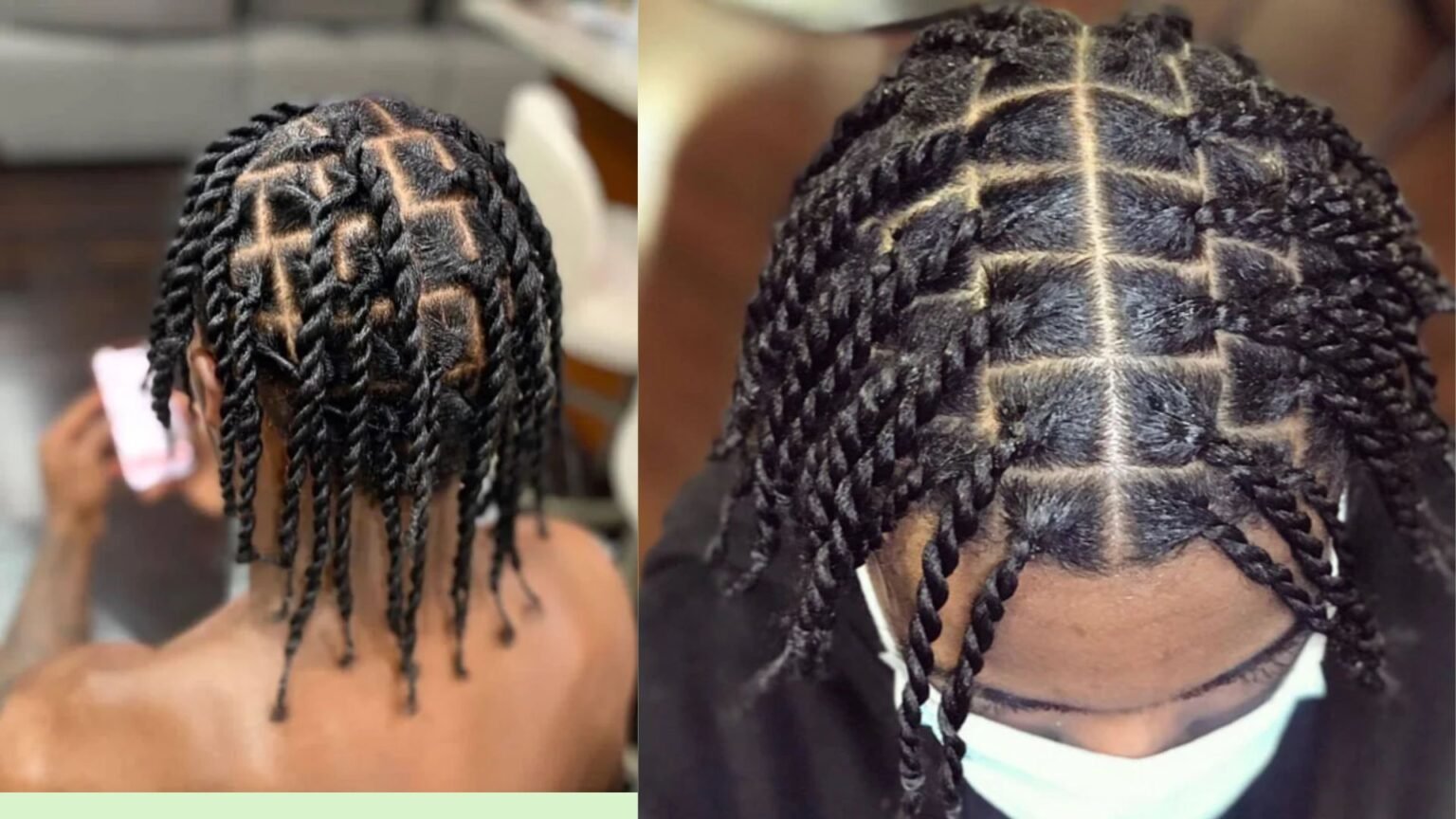 How to Start Starter Locs Two Strand Twist Correctly? - TheTropicalBuzz